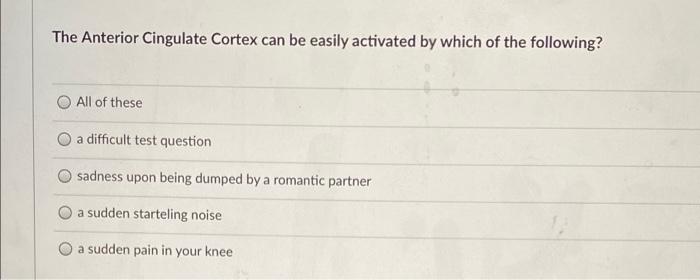Solved The Anterior Cingulate Cortex can be easily activated | Chegg.com