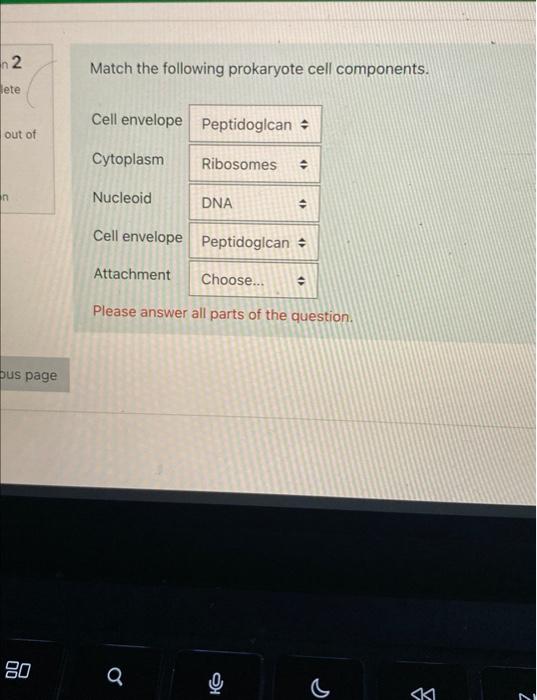 Solved Match the following prokaryote cell components. Cell | Chegg.com