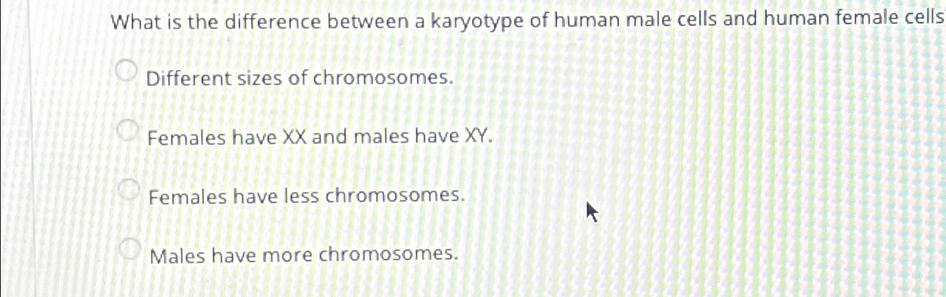 What is the difference between a karyotype of human | Chegg.com