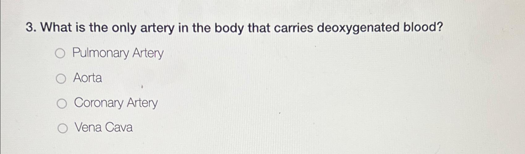 Solved What is the only artery in the body that carries | Chegg.com