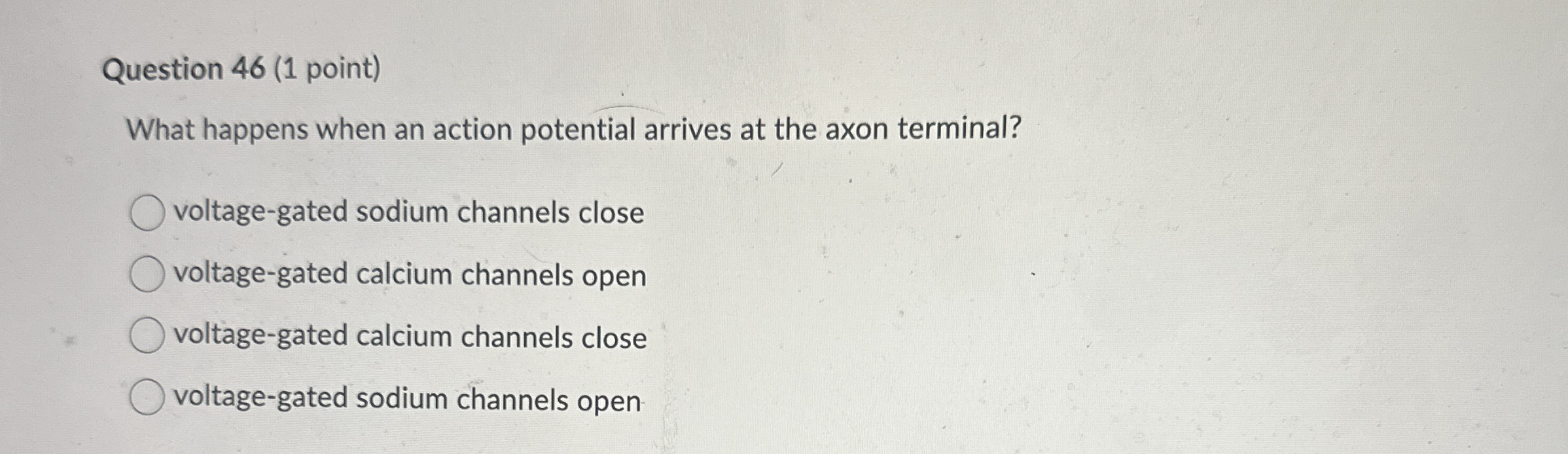 Solved Question 46 (1 ﻿point)What happens when an action | Chegg.com
