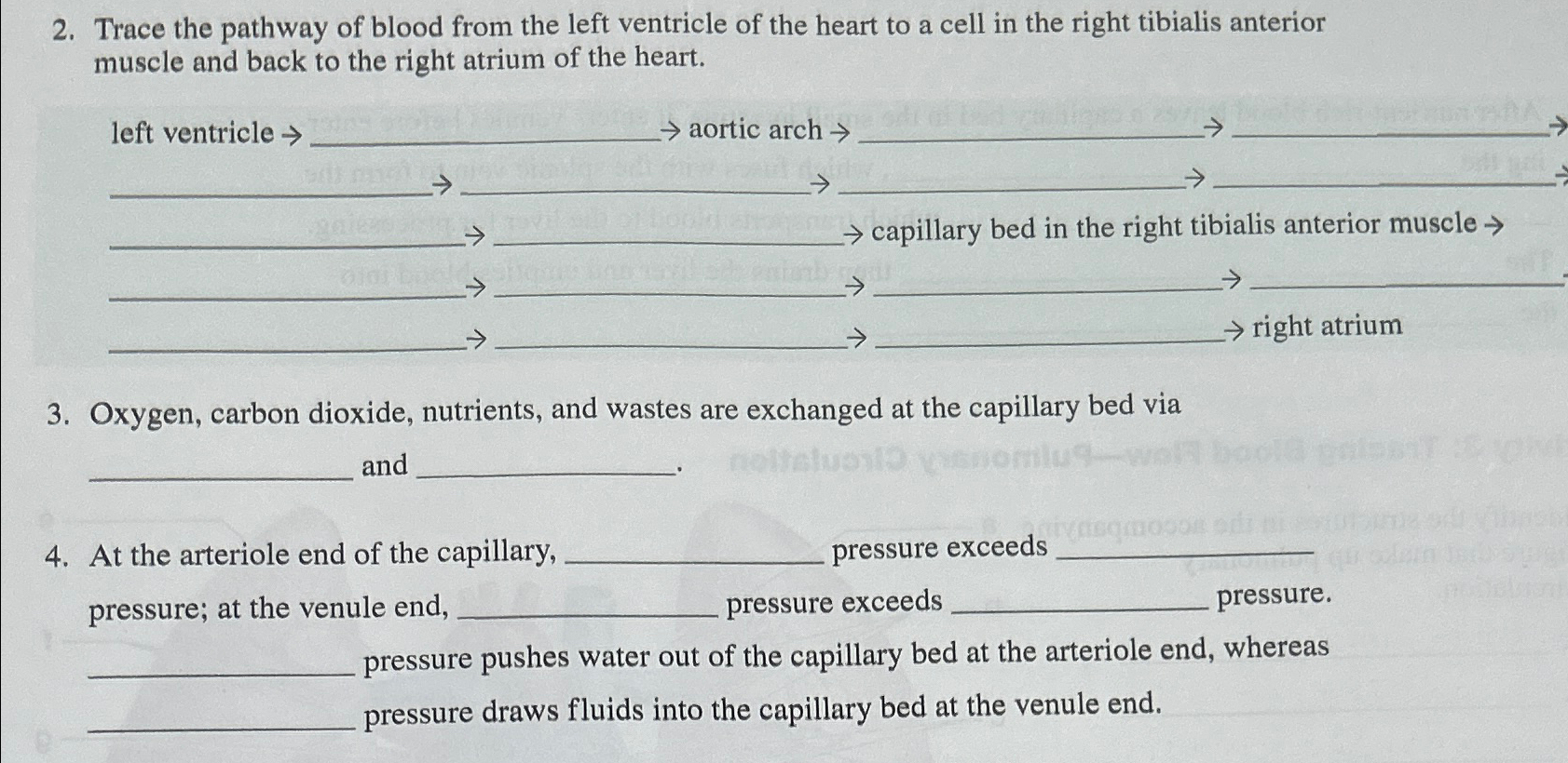 Solved Trace the pathway of blood from the left ventricle of | Chegg.com