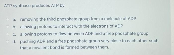 Solved ATP synthase produces ATP by a. removing the third | Chegg.com