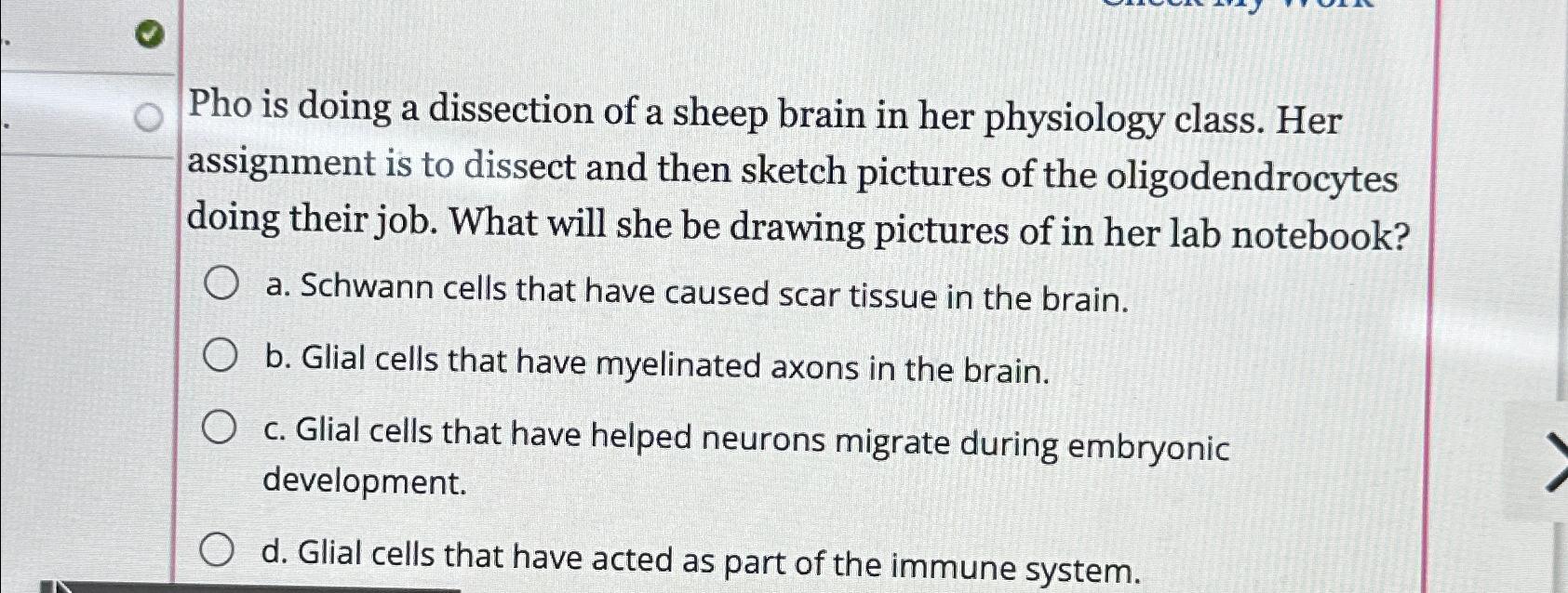 Solved Pho is doing a dissection of a sheep brain in her | Chegg.com