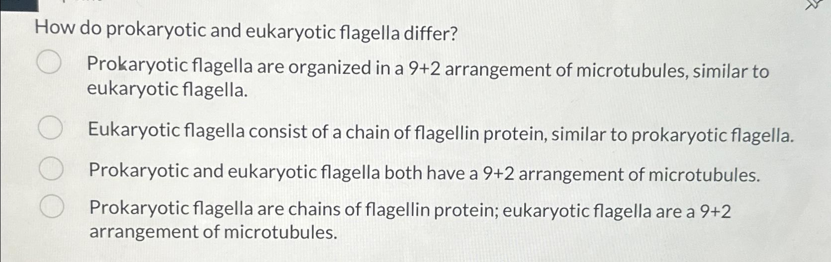 Solved How do prokaryotic and eukaryotic flagella | Chegg.com
