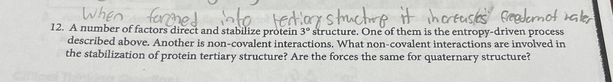 Solved A number of factors direct and stabilize protein 3° | Chegg.com