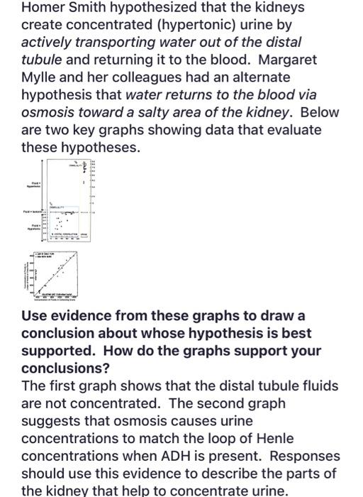 Solved Homer Smith hypothesized that the kidneys create | Chegg.com
