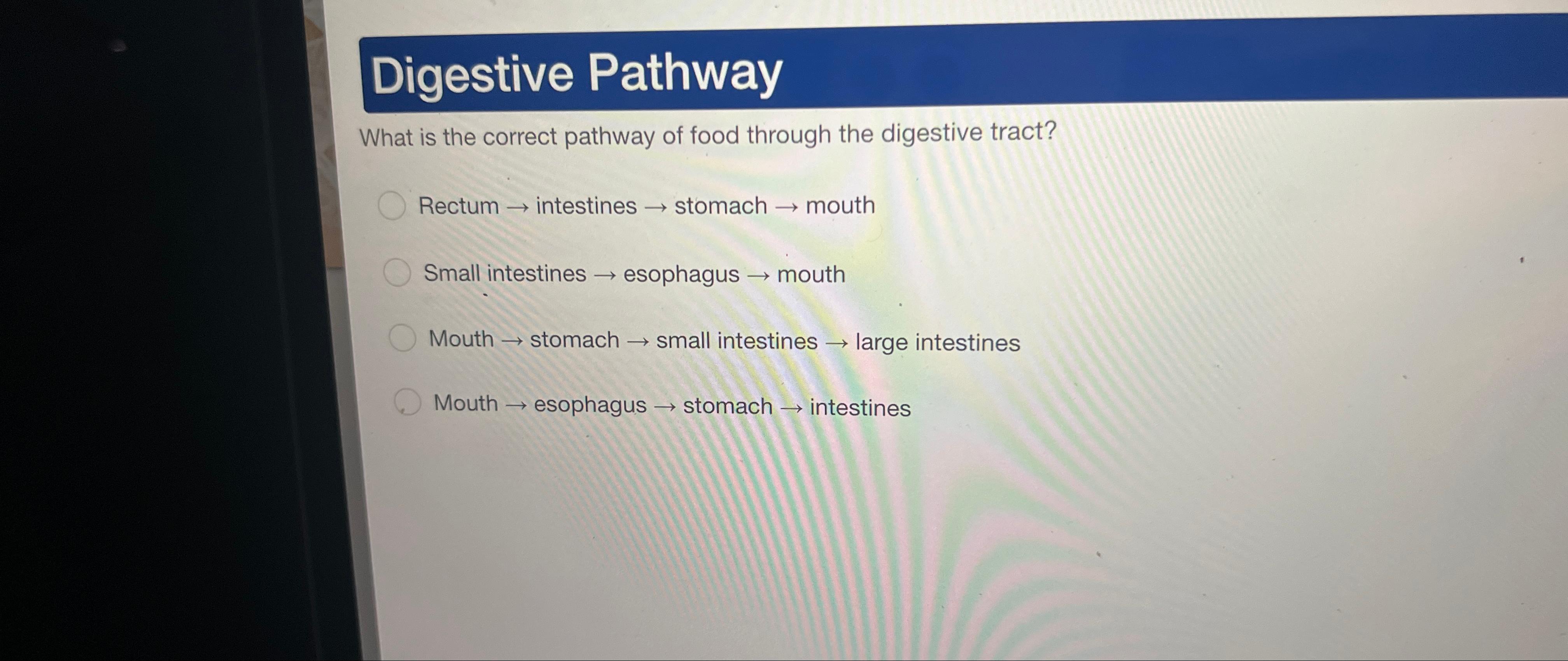 Solved Digestive PathwayWhat is the correct pathway of food | Chegg.com