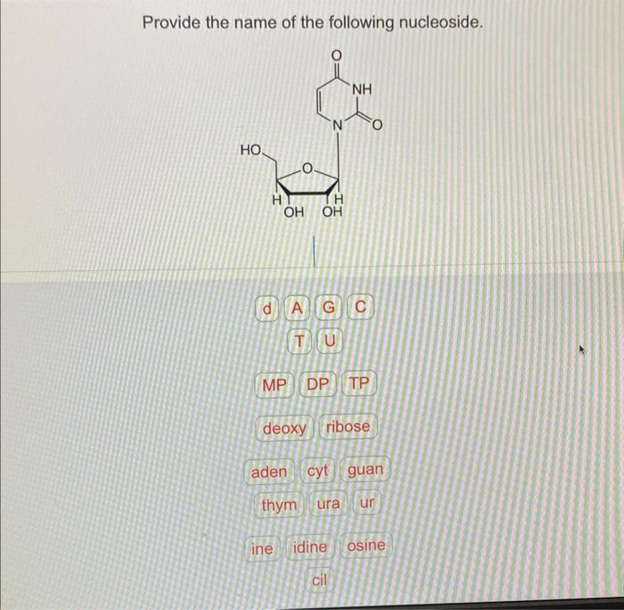 Solved Provide the name of the following nucleoside. | Chegg.com
