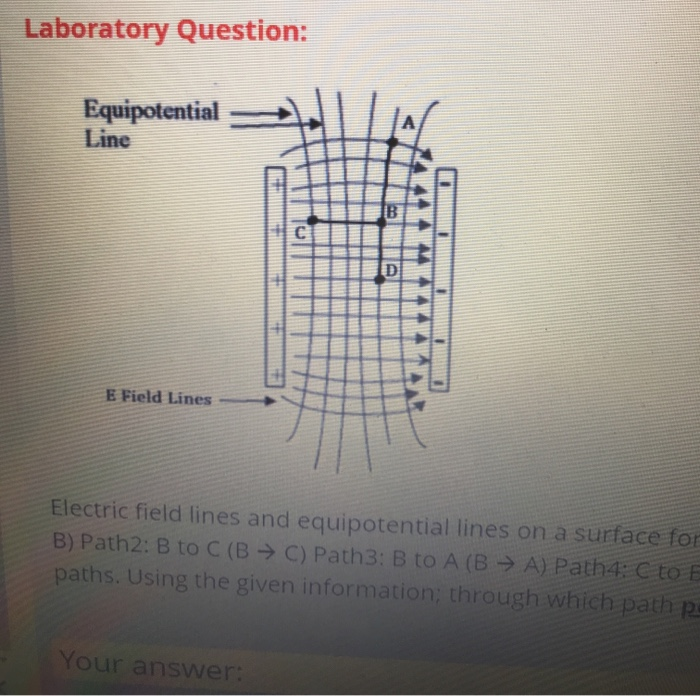 Solved Electric field lines and equipotential lines on a | Chegg.com