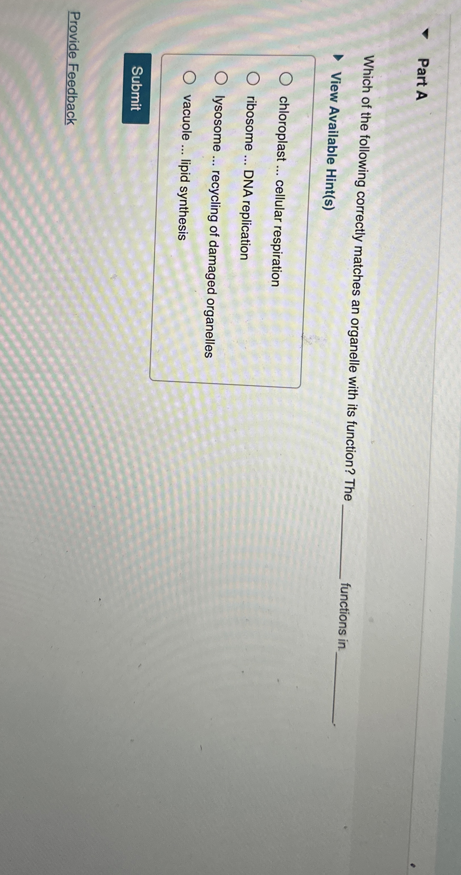 Solved Part AWhich of the following correctly matches an | Chegg.com