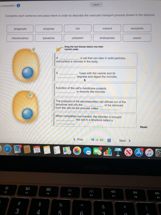 Solved complete each sentence and place them in order to | Chegg.com
