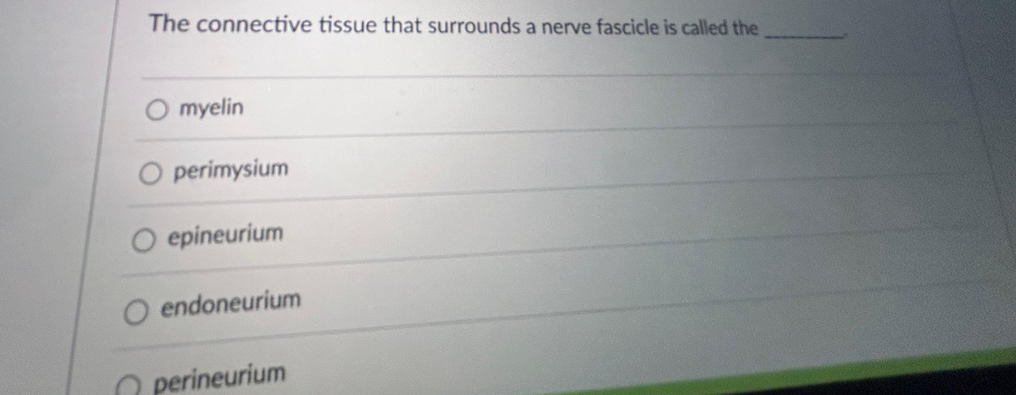 Solved The connective tissue that surrounds a nerve fascicle | Chegg.com