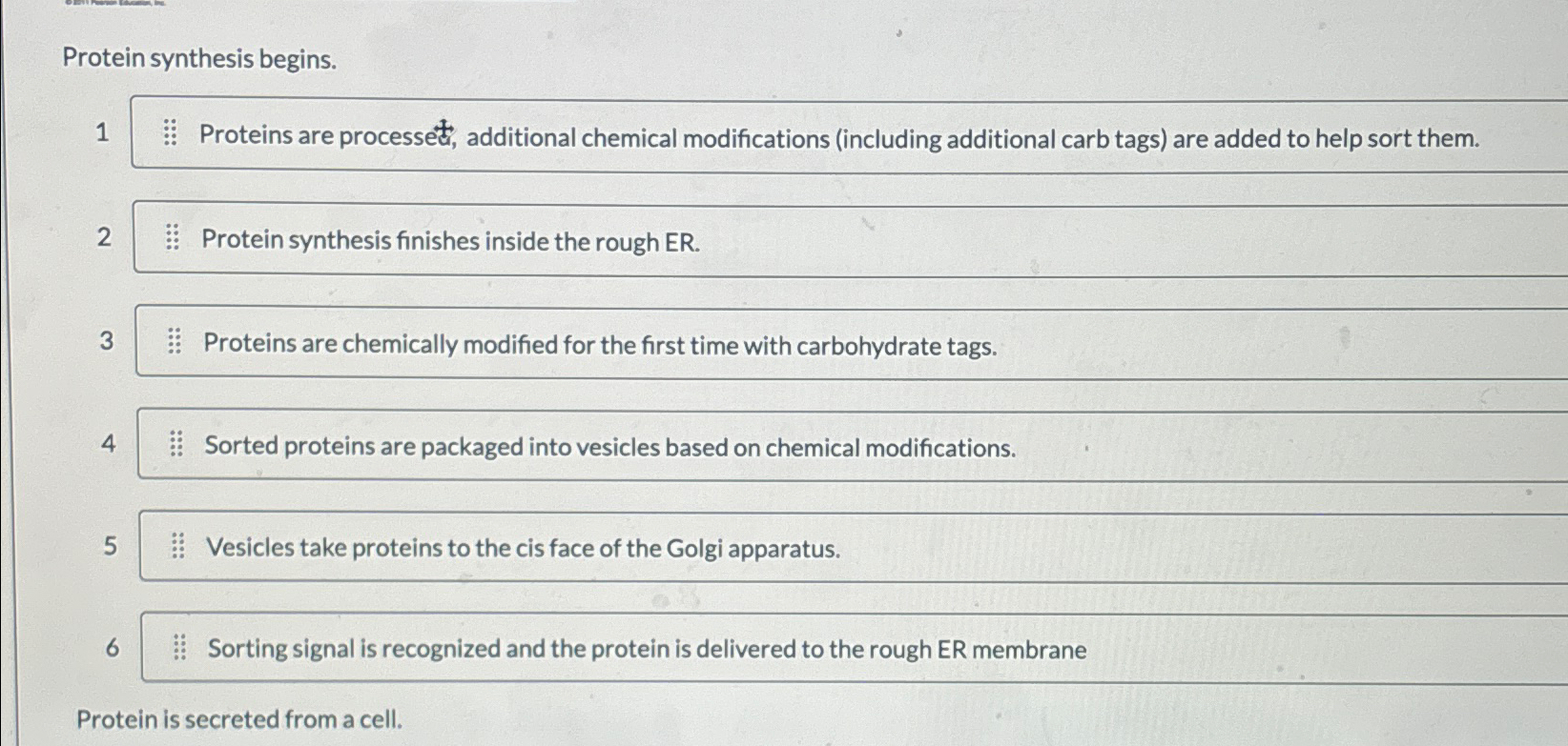 Solved Protein synthesis begins.1:: Proteins are processet, | Chegg.com