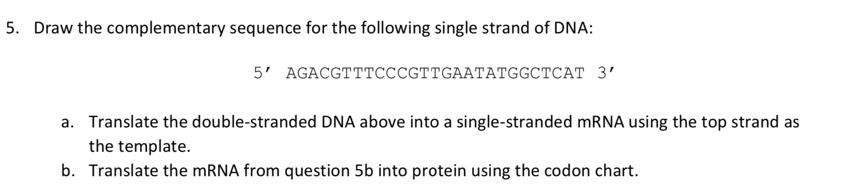 Solved Draw the complementary sequence for the following | Chegg.com