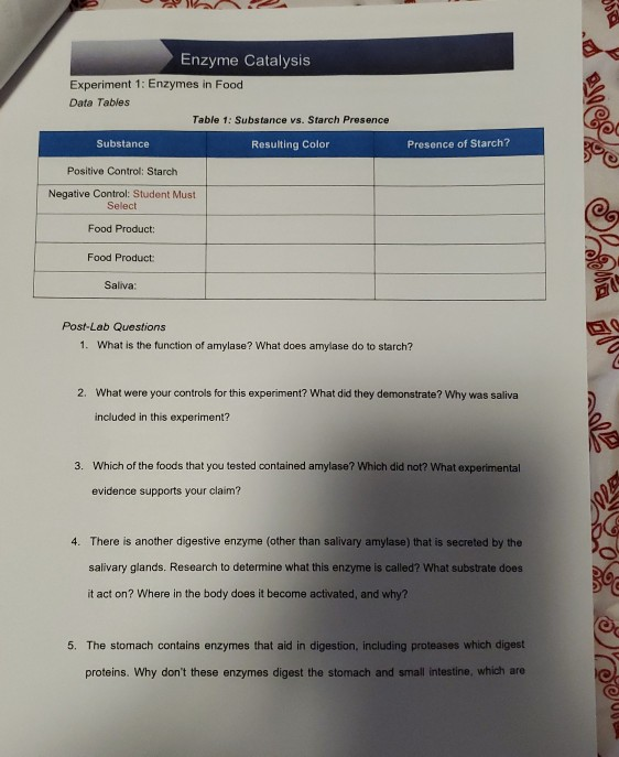 Solved Enzyme Catalysis Experiment 1: Enzymes in Food Data | Chegg.com