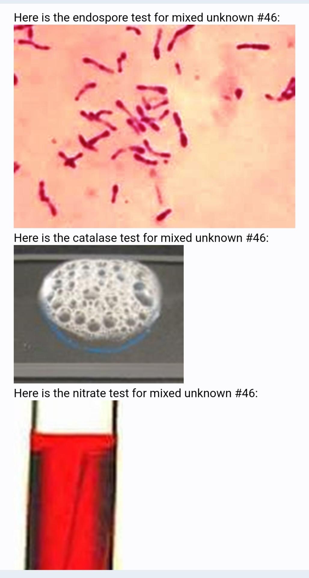 Solved Based on the chart and and these tests can anyone | Chegg.com