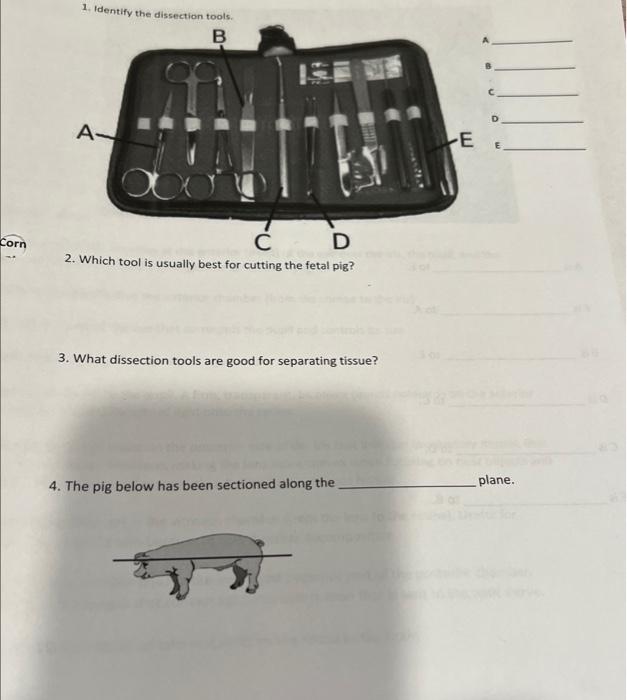 Solved 1. Identify the dissection tools. c. 2. Which tool is | Chegg.com
