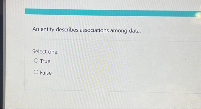 An entity describes associations among data. Select | Chegg.com