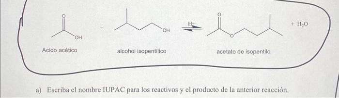 Solved OH Acido acético + OH alcohol isopentílico H+ acetato | Chegg.com