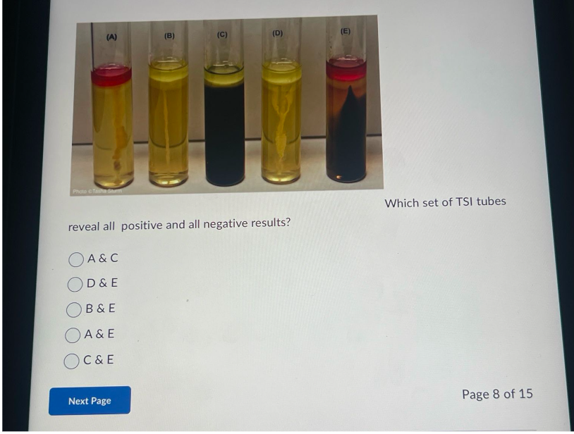 Solved Which set of TSI tubes reveal all positive and all | Chegg.com