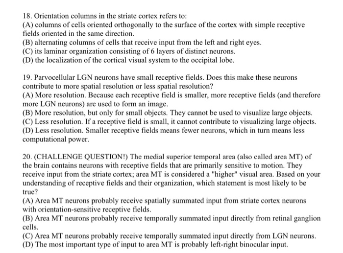Solved 18. Orientation columns in the striate cortex refers | Chegg.com