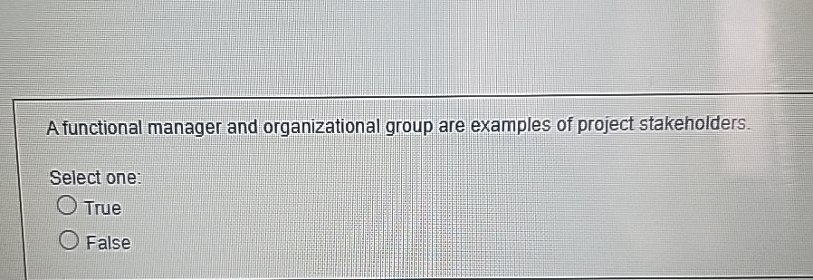 Solved A functional manager and organizational group are | Chegg.com