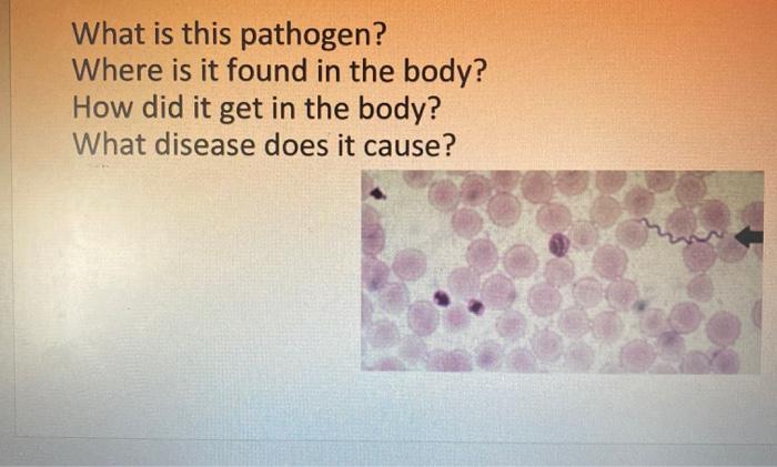 Solved Identify this test. Which tube shows a positive | Chegg.com