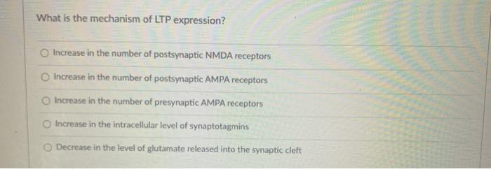 Solved What is the mechanism of LTP expression? Increase in | Chegg.com