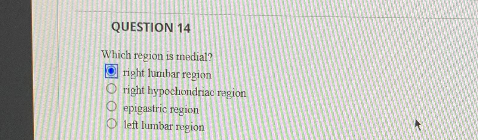 Solved QUESTION 14Which region is medial?right lumbar | Chegg.com