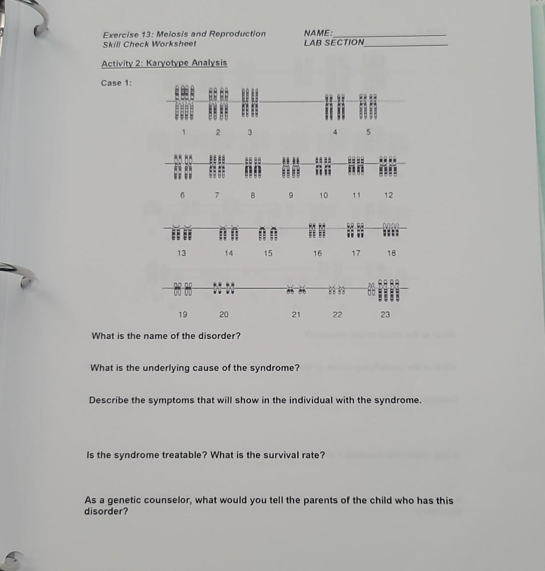 Solved Exercise 13: Meiosis and Reproduction Skill Check | Chegg.com