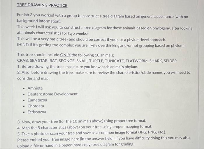 TREE DRAWING PRACTICE For lab 3 you worked with a | Chegg.com