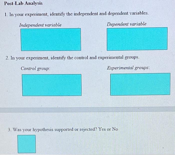 Solved Experiment: Catalase and Hydrogen Peroxide Experiment | Chegg.com