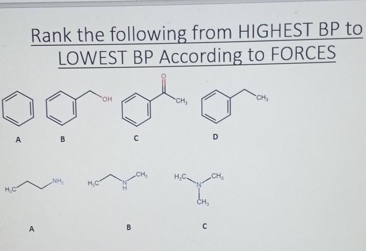 Solved Rank the following from HIGHEST BP to LOWEST BP | Chegg.com