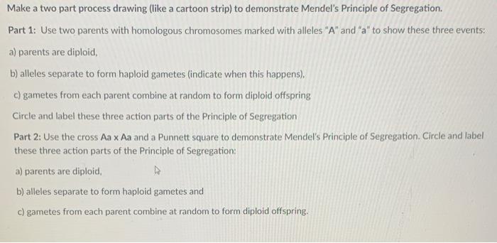 Solved Make a two part process drawing (like a cartoon | Chegg.com