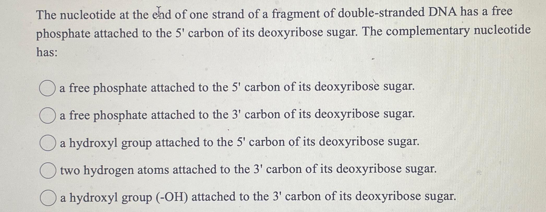 Solved The nucleotide at the exhd of one strand of a | Chegg.com