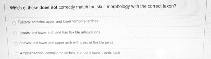 Solved Which of these does not correctly match the skull | Chegg.com