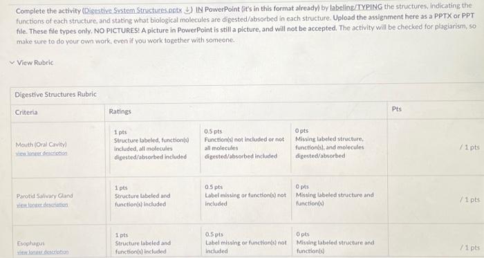 Complete the activity (Disestive System | Chegg.com
