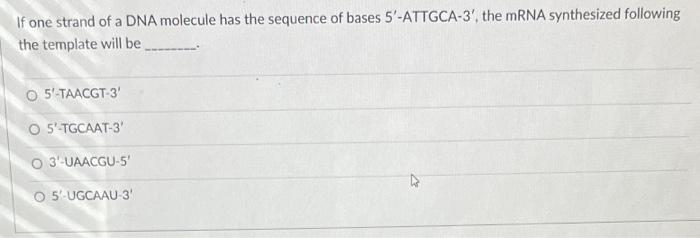 Solved If one strand of a DNA molecule has the sequence of | Chegg.com