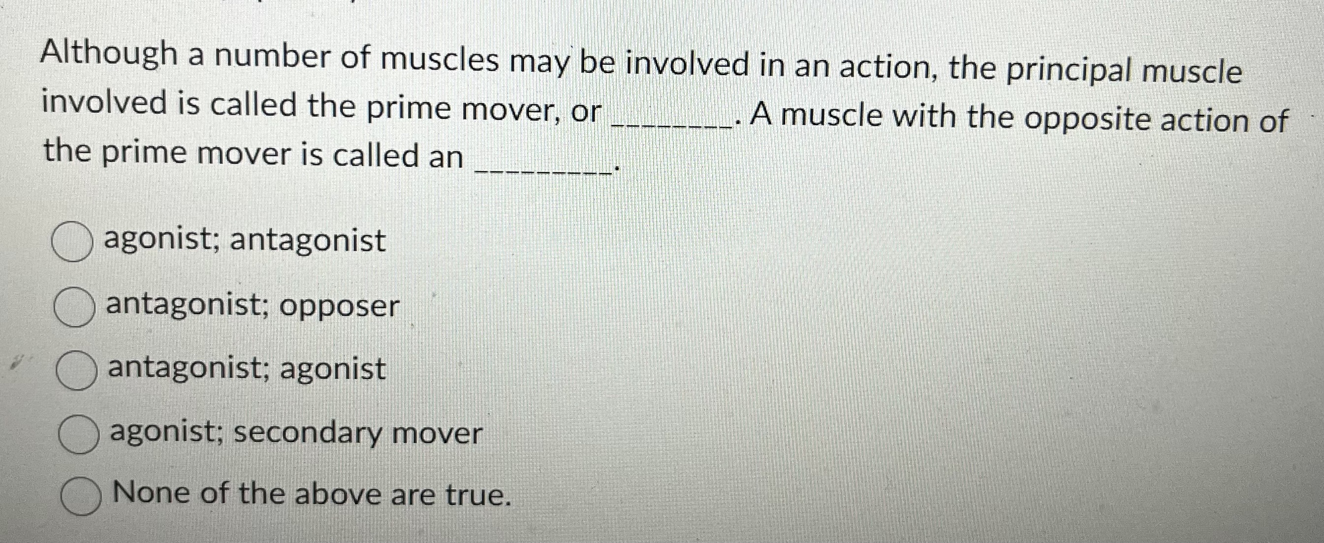 Solved The skeletal muscles are divided intoAlthough a | Chegg.com