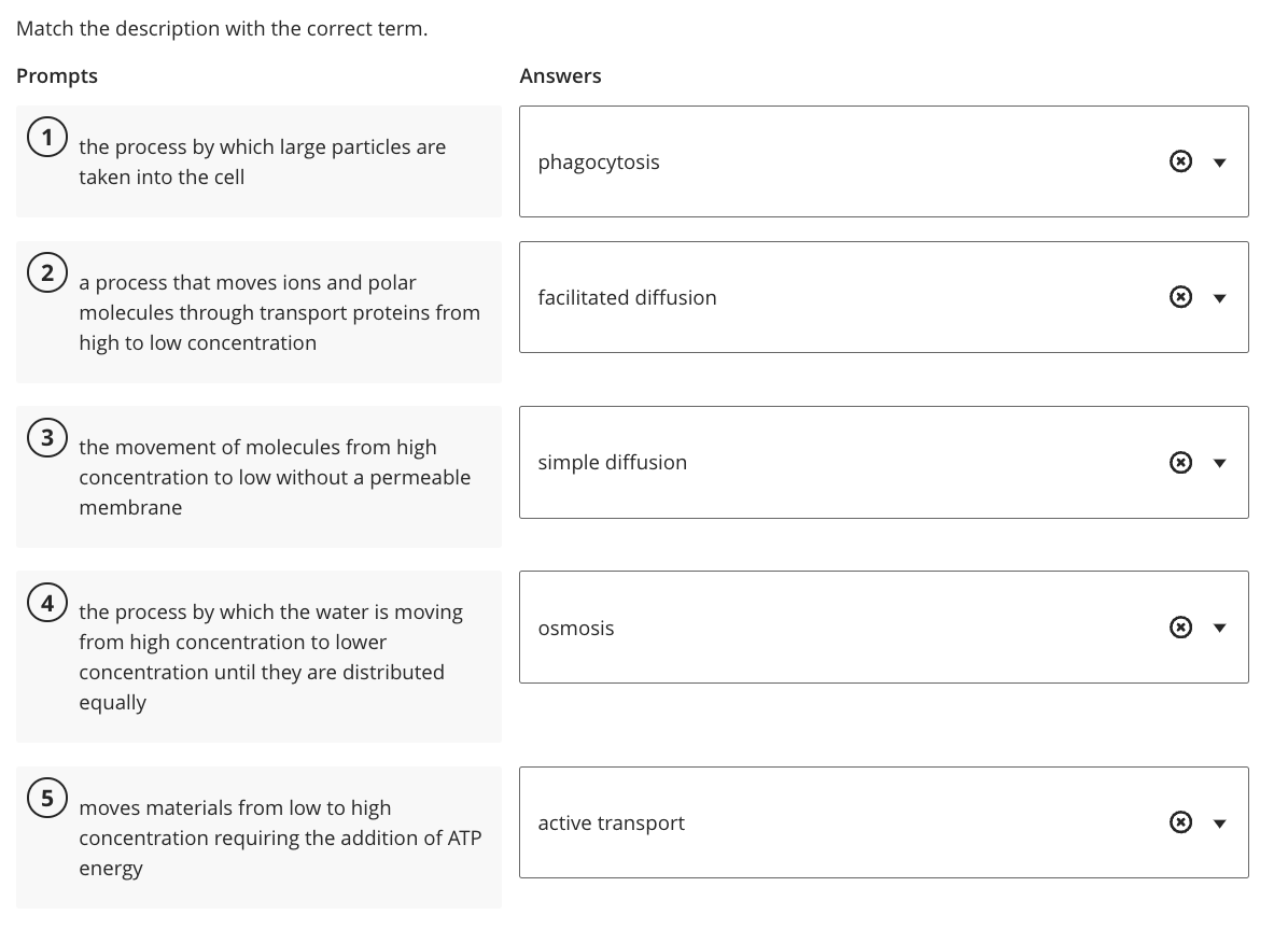 Solved Match the description with the correct term. Prompts | Chegg.com