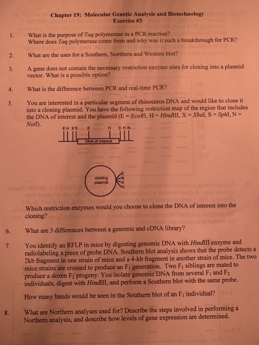 Solved Chapter 19: Molecular Genetic Analysis and | Chegg.com