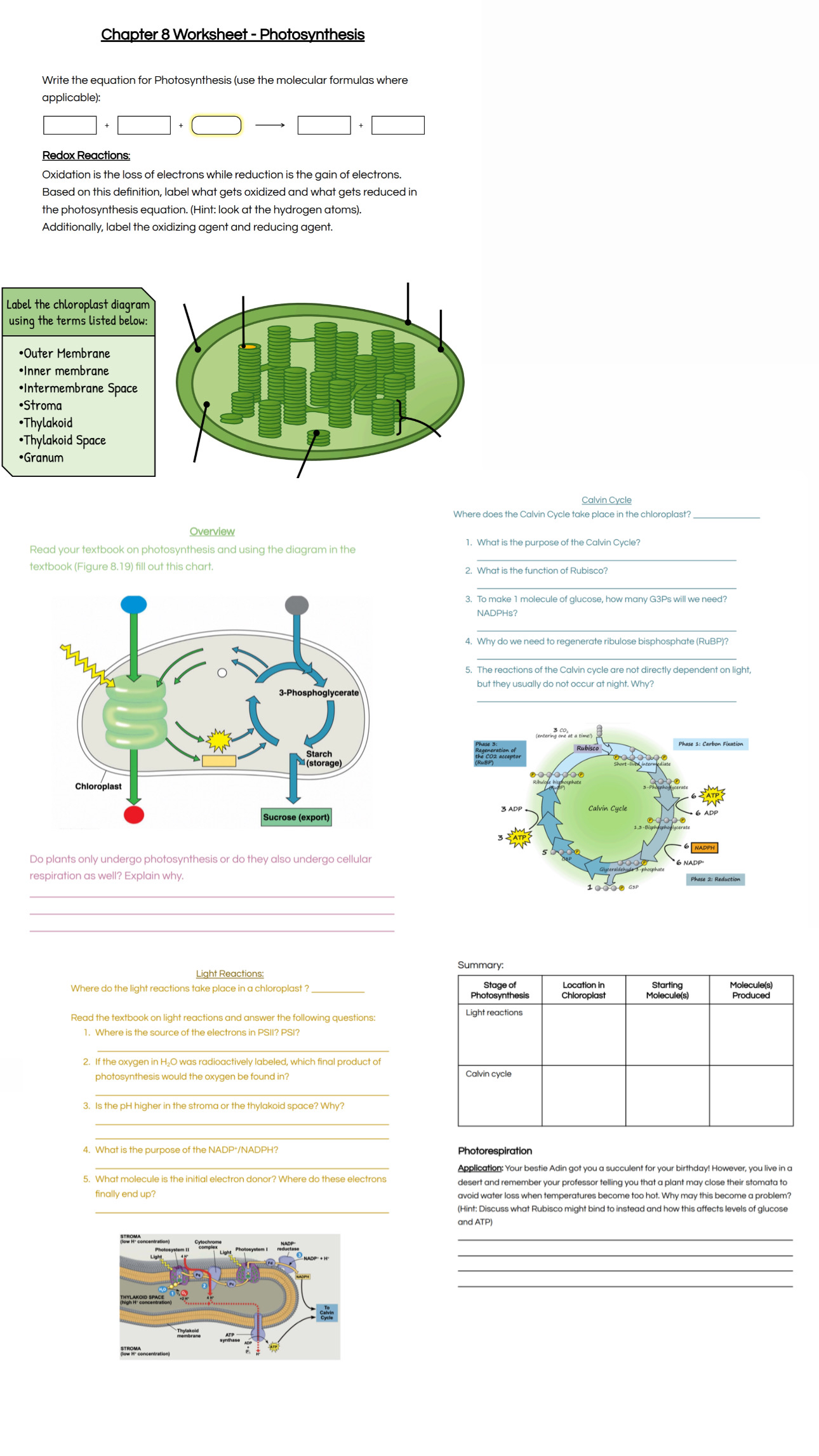 Solved Chapter 8 ﻿Worksheet - ﻿PhotosynthesisWrite the | Chegg.com