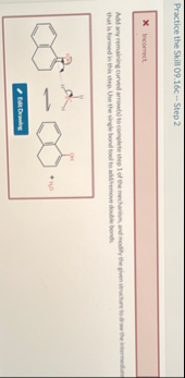 Solved Practice the Skill 09.16c - ﻿Step 2X incorrect. that | Chegg.com