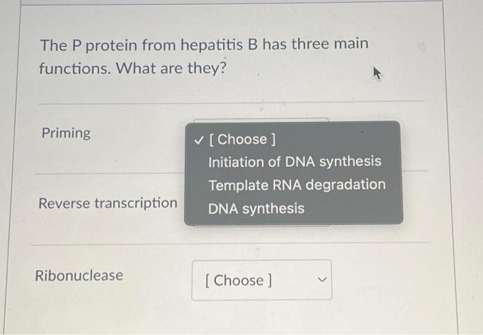 Solved The P protein from hepatitis B has three main | Chegg.com