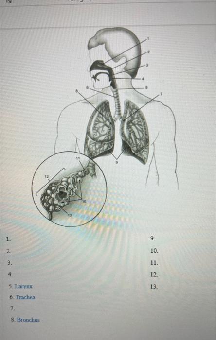 Solved Please help label | Chegg.com