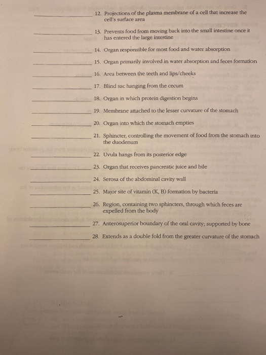 Solved Using the key choices, select the terms identified in | Chegg.com
