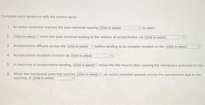 Complete each sentence with the correct word. 1. An | Chegg.com