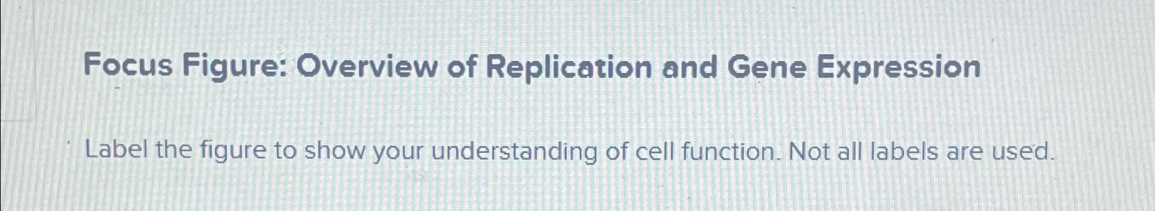 Solved Focus Figure: Overview of Replication and Gene | Chegg.com Solved Focus Figure: Overview of Replication and Gene | Chegg.com