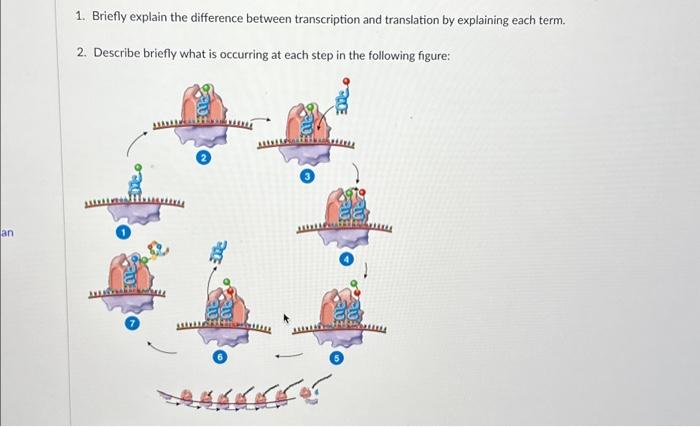 Solved 1. Briefly explain the difference between | Chegg.com